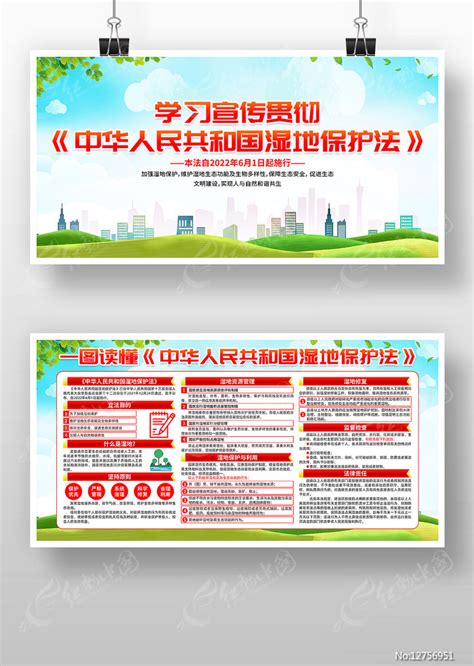 绿色一图读懂中华人民共和国湿地保护法展板图片下载红动中国