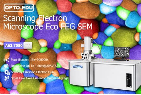 Opto Edu A637080 Schottky Field Emission Gun Scanning Electron