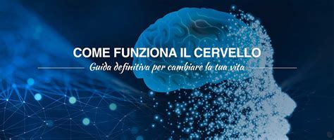 Come Funziona Il Cervello Guida Definitiva Per Cambiare La Tua Vita
