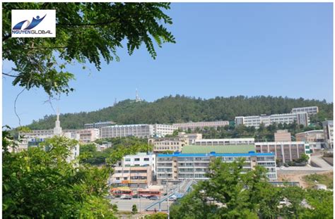 Trường Đại Học Khoa Học Mokpo Du Học