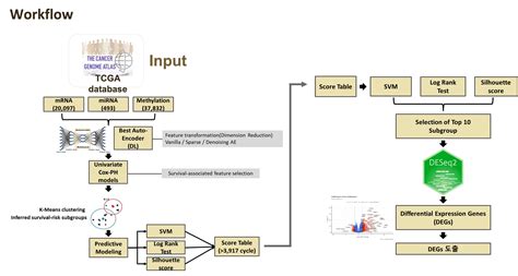 GitHub Jin Multi Omics Intergration Multi Omics Intergration