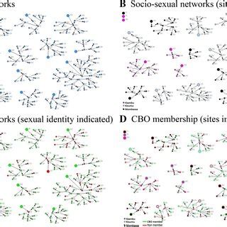 Basic Profile Of Network Overall By Site Sexual Identity And CBO Download Scientific Diagram