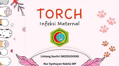Ppt Toxoplasma Gondii Toxo Rubella Cyto Megalo Virus Cmv Herpes