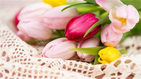 Best Tulip Plant Flower Powerpoint Background For Presentation