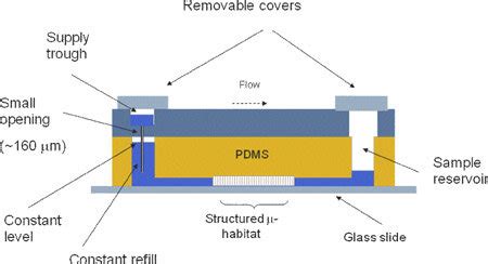 Schematic Showing Features And Operation Of Flow Module Download Scientific Diagram