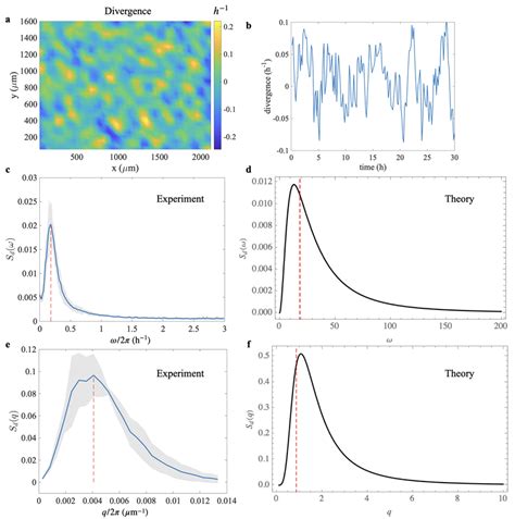Representative Divergence Field Obtained From Velocity Field Of One