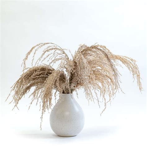 Artificial Pampas Grass In White Ceramic Vase Dunelm