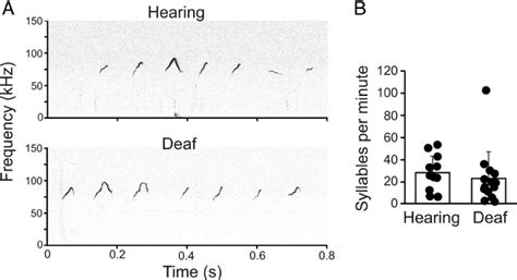 Vocalizations Of Hearing And Deaf Male Mice Were Qualitatively Similar