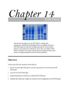 Chapter 14 Chapter 14 Pdf PDF4PRO