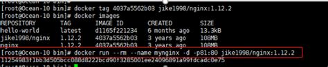 Docker的高级操作（映射端口、挂载数据卷、传递环境变量、容器内安装软件）docker 挂载目录 环境变量 Csdn博客