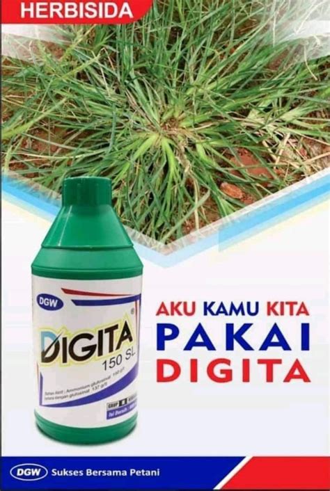 Jual DIGITA 150SL 800ml Herbisida Racun Rumput Spesialis Lulangan