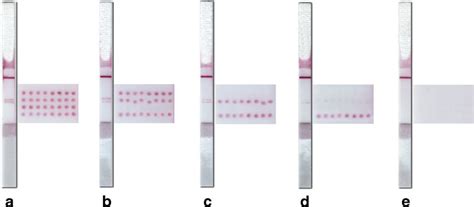 Lateral Flow Microarray Test Strips For Testing Samples Without