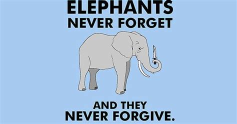 Hyperthymesia Album On Imgur