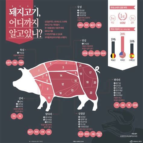 이건 제 전문입니다만” 대한민국이 사랑하는 돼지고기 지적 존재들의 B컷 비주얼다이브 인포그래픽 돼지고기 고기 요리법