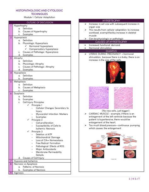 2 Histopath Module 1 Cell Adaptation Histopathologic And