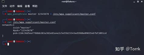 Kali通过命令行连接wifi 知乎