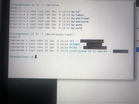 How Do I Install NixOS On Mac As A Dual Boot Thing NixOS Discourse
