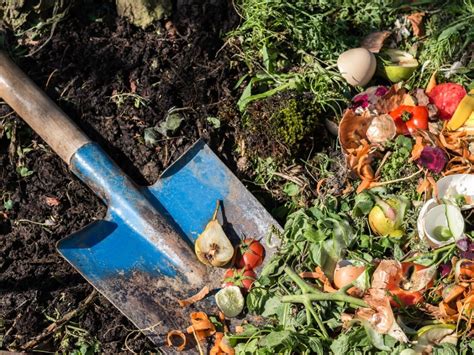 Easy Methods For Composting In Place