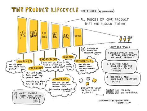 Product Lifecycle Diagram For Analyzing Your Product