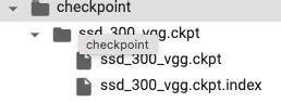 Python Training SSD Gives ValueError Can T Load Save Path When It Is