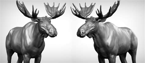 3d Moose Vfx Muscle Simulation Turbosquid 1886626