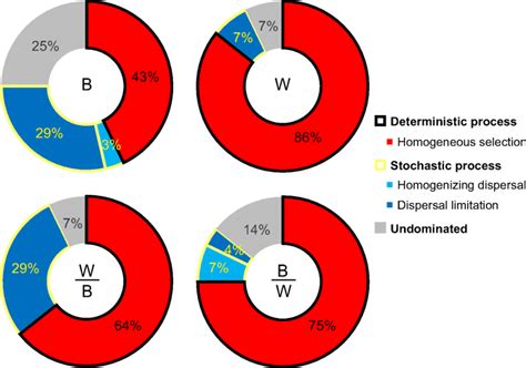 Contributions Of Deterministic And Stochastic Processes Governing Download Scientific Diagram
