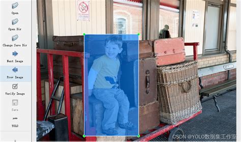 Yolo目标检测——人体行为数据集【含对应voc、coco和yolo三种格式标签】 Csdn博客