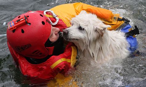 10 Photos Of Firefighters Saving Animals That Will Warm Your Heart