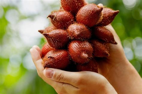 Africké Trhy V Břeclavi Kudy Z Nudy