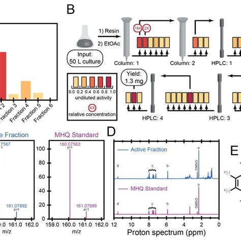 Bioactivity Guided Fractionation Identified Mhq As A P Aeruginosa