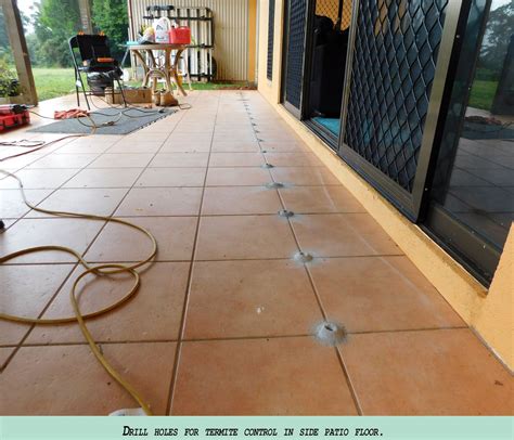 Termite Inspections Cairns Qld Cairns Pest Control