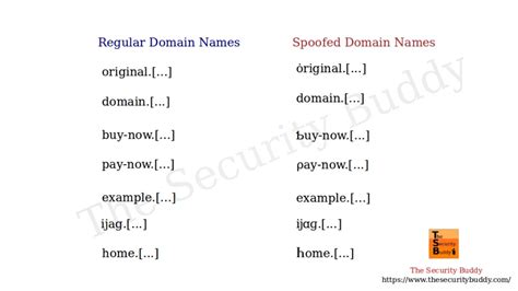 What Is The Idn Homograph Attack And How Does It Work The Security Buddy