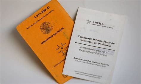 Febre amarela veja países que exigem a vacina e saiba como tirar o