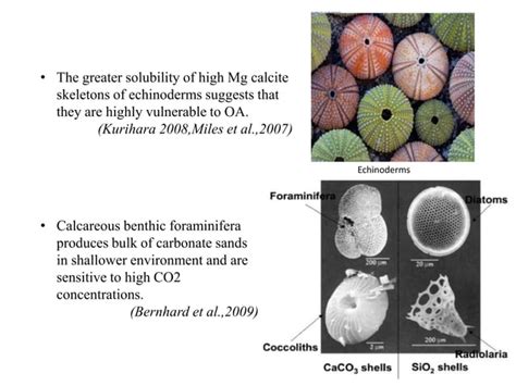 Ocean Acidification Cause Impact And Mitigation Pptx