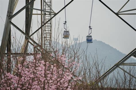 天文台｜年廿九晚轉冷 一日跌7°c 年初三回暖 最高氣溫20°c 星島日報