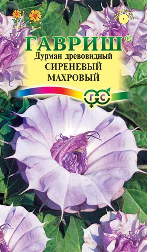 Семена Дурман Сиреневый махровый, 3шт, Гавриш, Цветочная коллекция по ...
