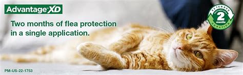 Advantage Xd Large Cat Flea Prevention And Treatment For