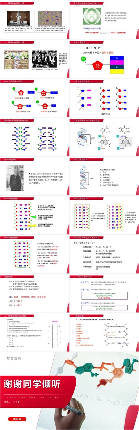 DNA分子的结构PPT课件 HR下载网