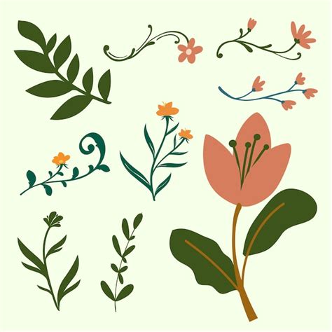 Premium Vector Flower And Leaf With Boho Style