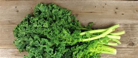 Kale Propiedades Y Contraindicaciones Efectos Secundarios