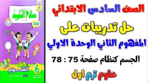 حل صفحة 75 تدريبات سلاح التلميذ المفهوم الثاني الجسم كنظام علوم الصف