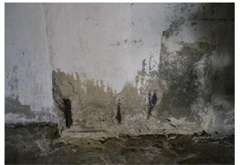 Figure 1 Practical Building Defect Solutions Construction