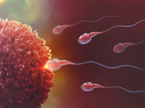 Hoe Ruikt Sperma Wat Zegt Het Over Je Gezondheid