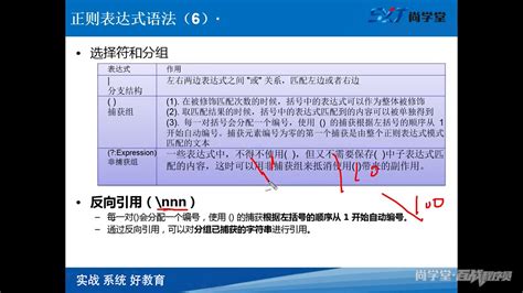 318 正则表达式 分支结构 捕获组 非捕获组 反向引用 04 Youtube