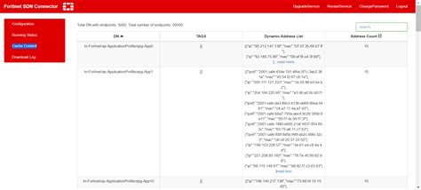 Retrieve IPv6 Dynamic Addresses From Cisco ACI SDN Connector