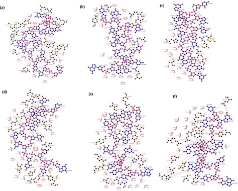 Residue Interaction At The Protein Dna Interface In The P53 Dna