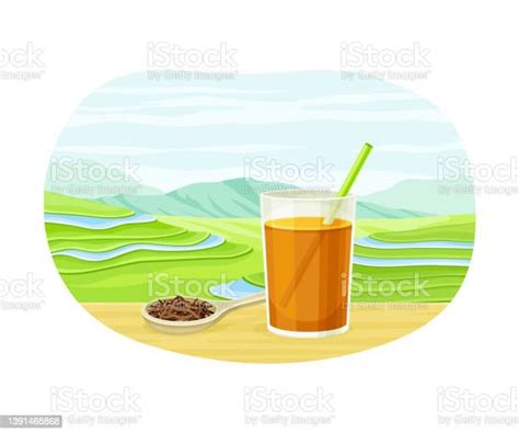 차 녹색 테라스 필드 농장 및 뜨거운 향기로운 음료 양조 벡터 일러스트 레이 션과 유리 0명에 대한 스톡 벡터 아트 및 기타 이미지 0명 녹색 독일 Istock