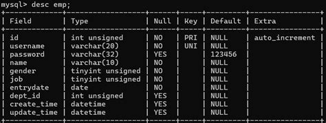 Springbootweb 篇 深入了解 Mybatis 删除、新增、更新、查询的基础操作与 Sql 预编译解决 Sql 注入问题springboot 使用预编译查询 Csdn博客