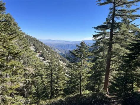 2023 Best 10 Waterfall Trails In San Bernardino National Forest Alltrails