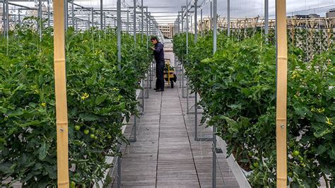 Urban Farming In Paris Landwirtschaft Auf Den Messehallen Dlf Nova